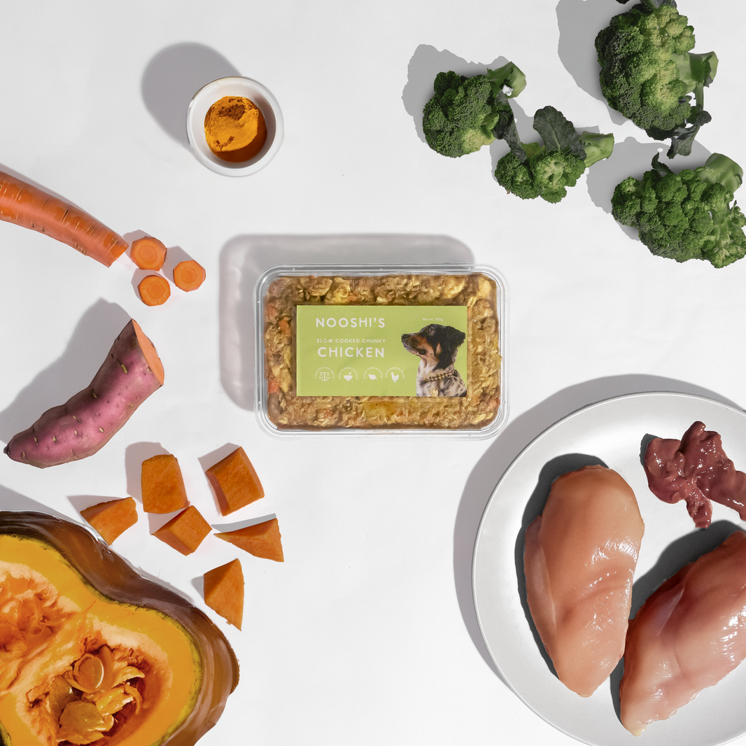 Let's get to know your pet! – Nooshi's